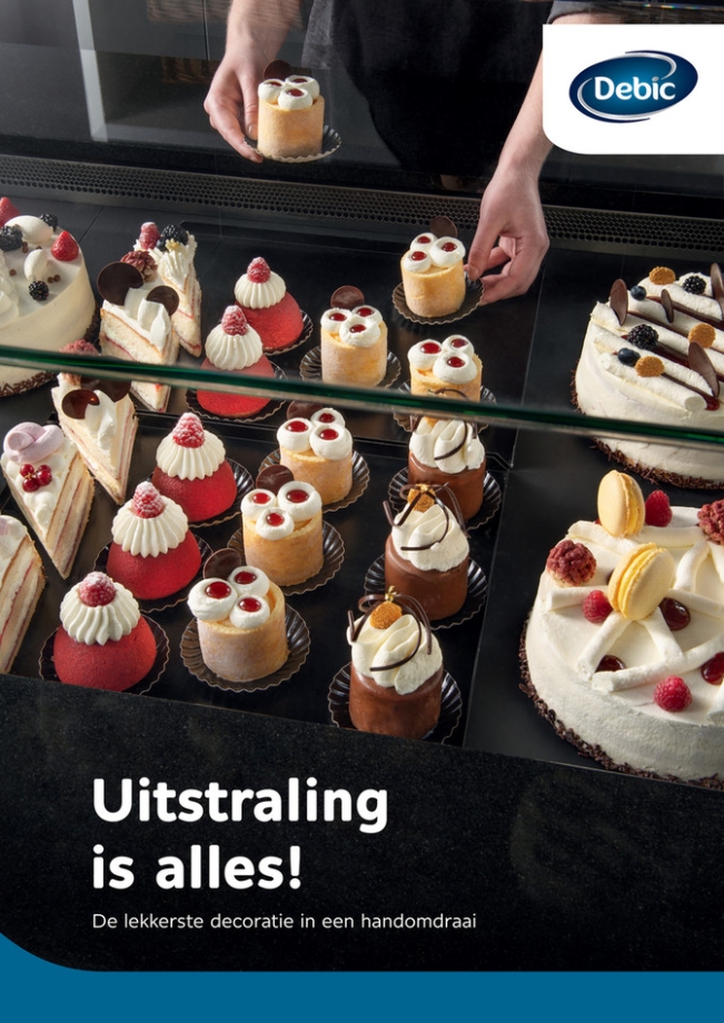 Brochure library | Debic